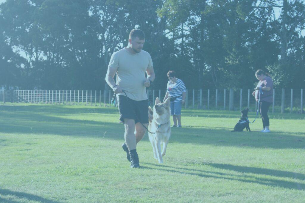 Basic Obedience Class - Tararua Allbreeds